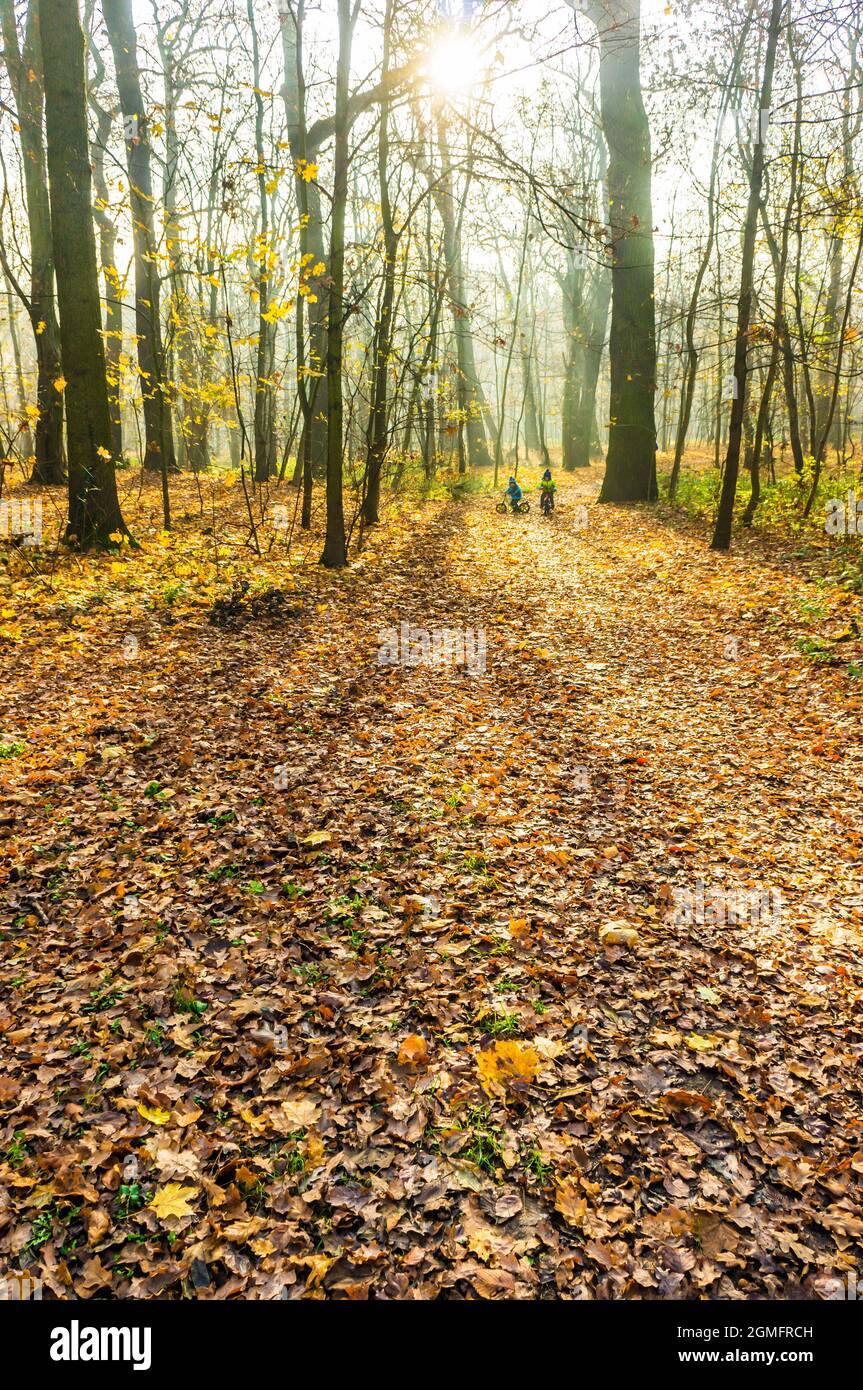 Debinski hi-res stock photography and images - Alamy