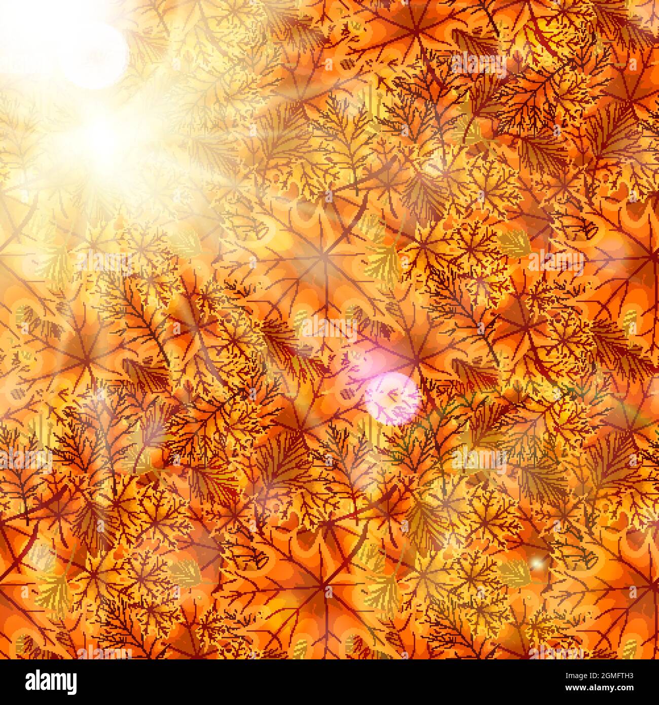 autumn orange and red fallen leaves.. Vector Illustration Stock Vector ...