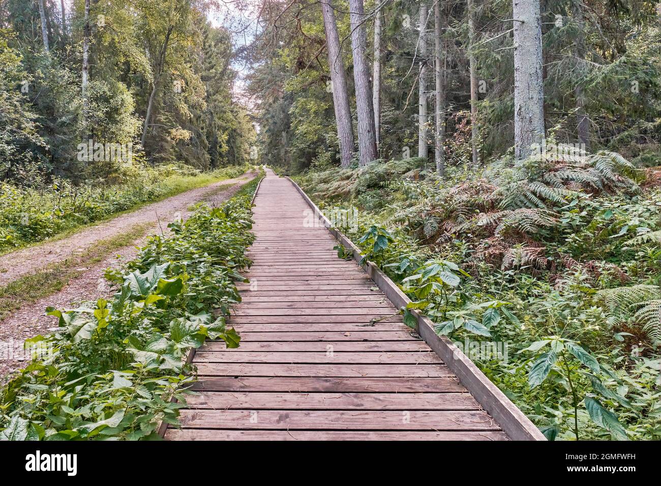 Ecological trail hi-res stock photography and images - Alamy