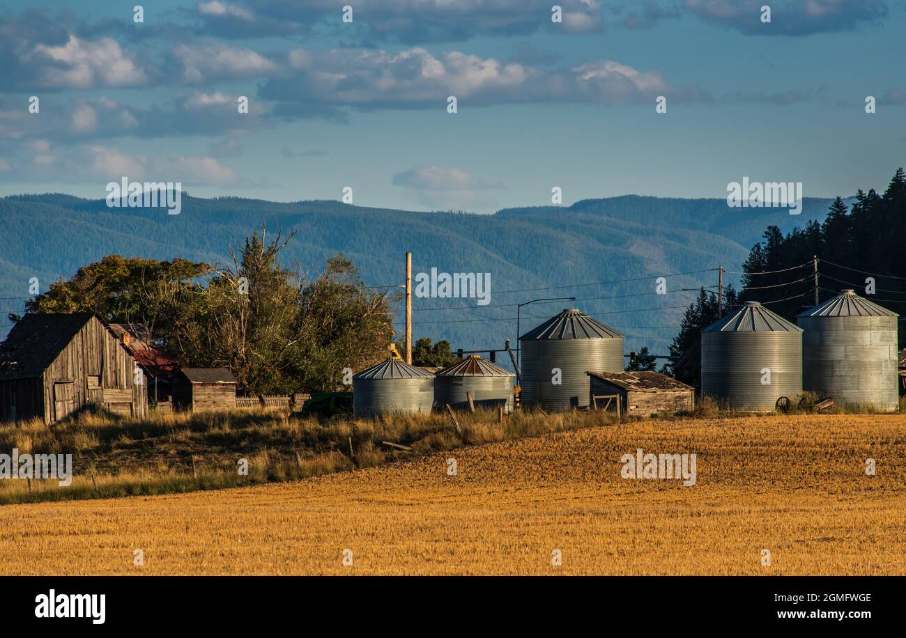 Trees next to farm hi-res stock photography and images - Alamy