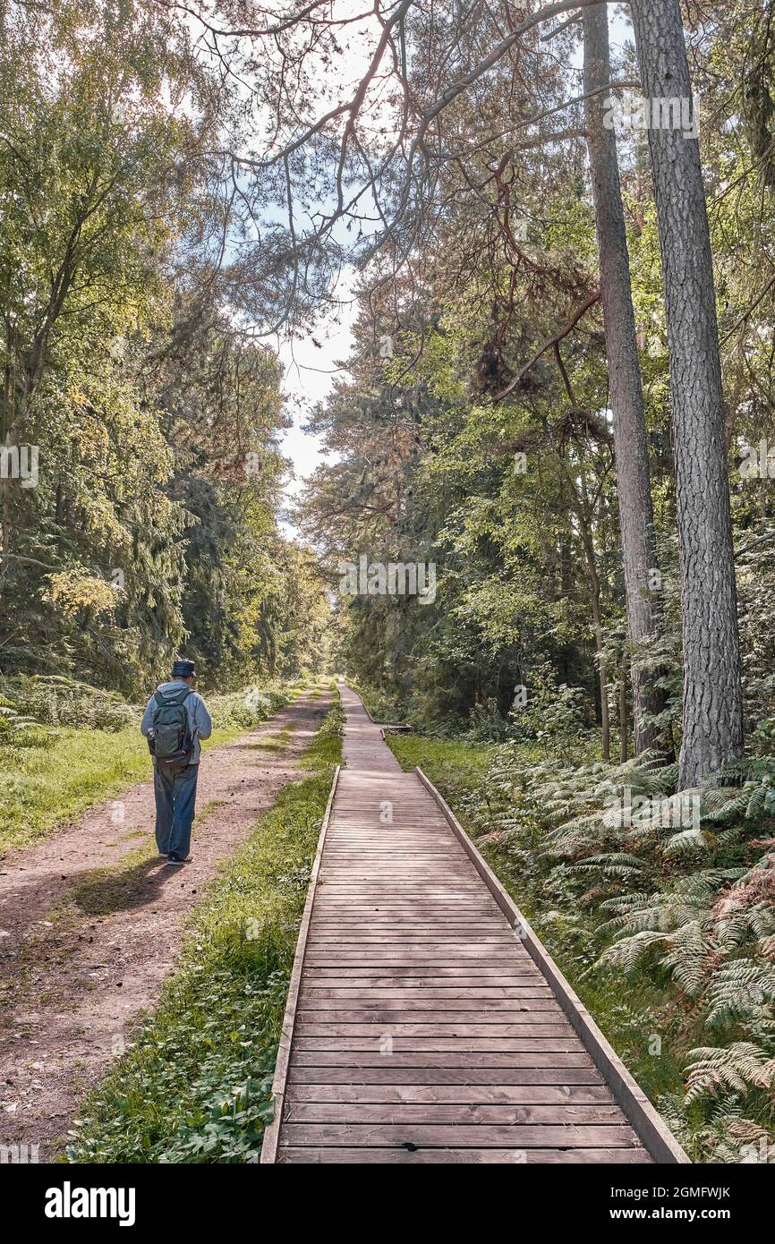 Walking ecological hi-res stock photography and images - Alamy