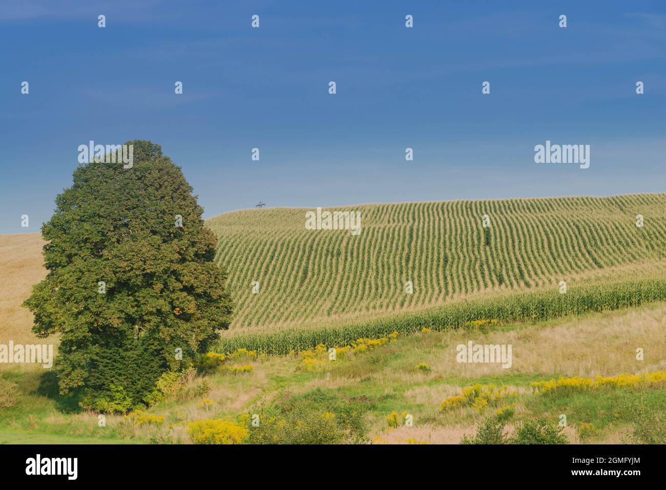 Undulating terrain hi-res stock photography and images - Alamy