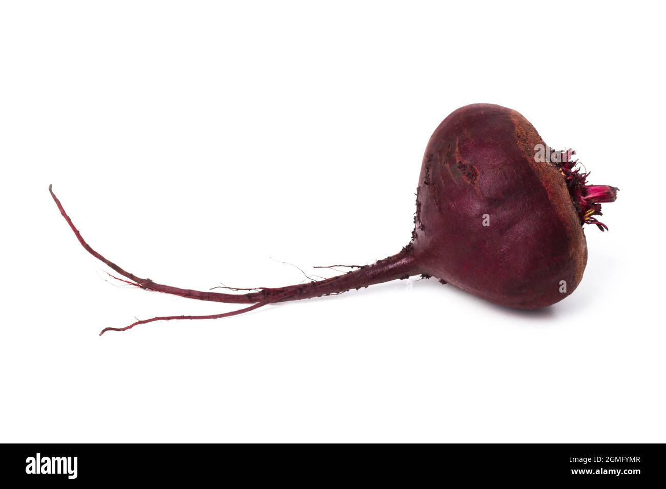 Beetroot close up isolated on white background Stock Photo - Alamy