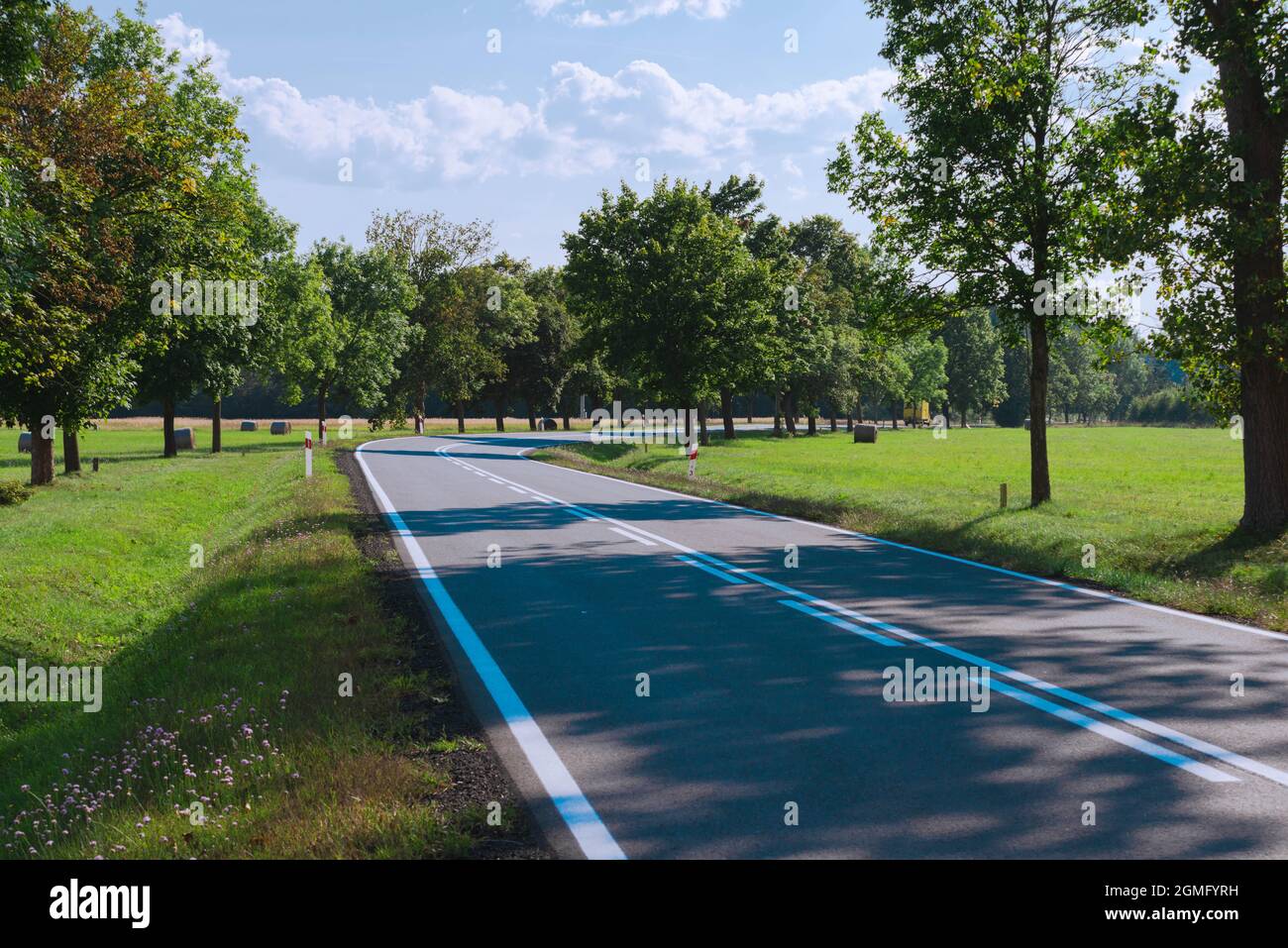 Asphalt road through the plain covered with green meadows Stock Photo ...