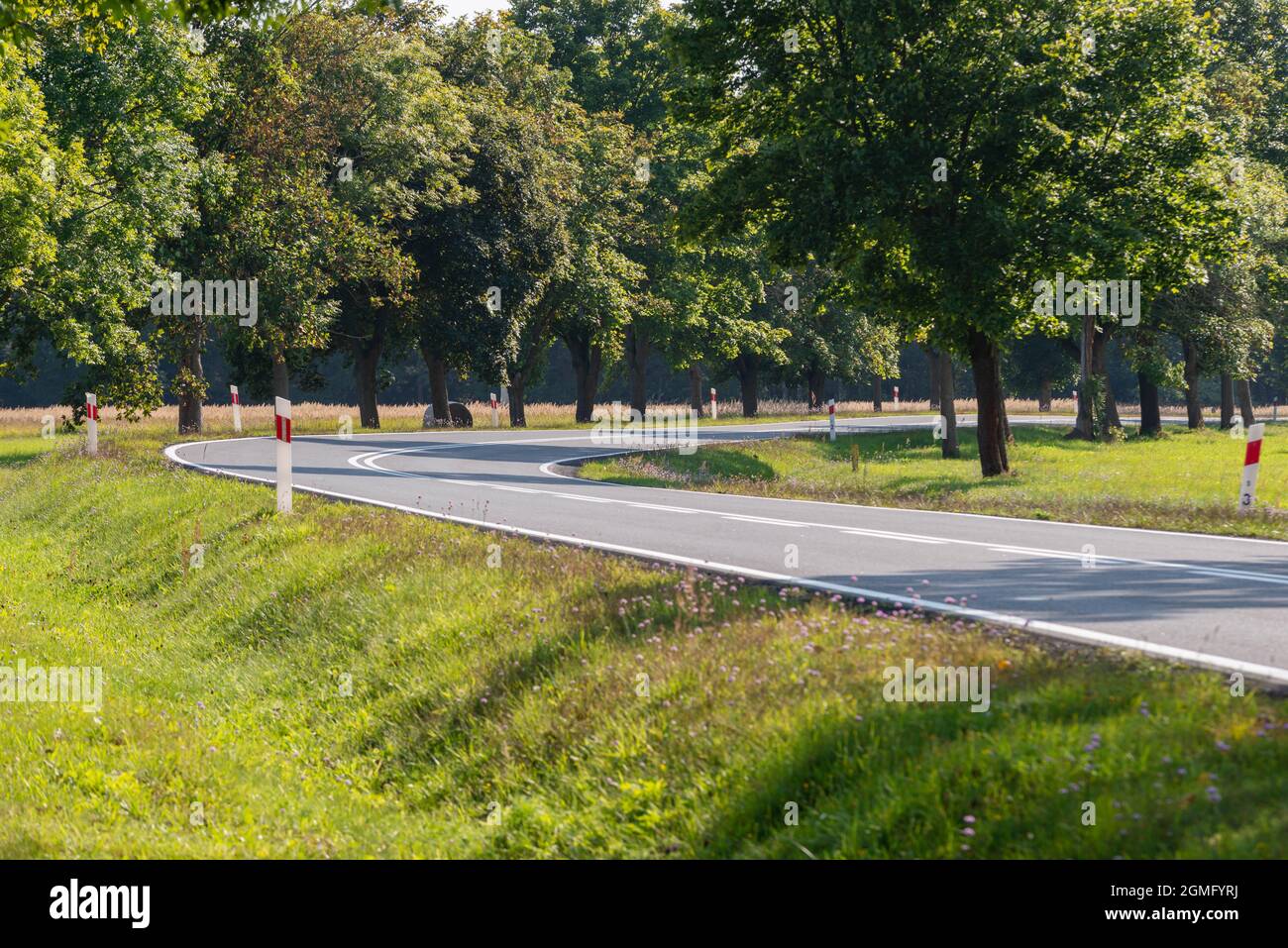 Asphalt road through the plain covered with green meadows Stock Photo ...