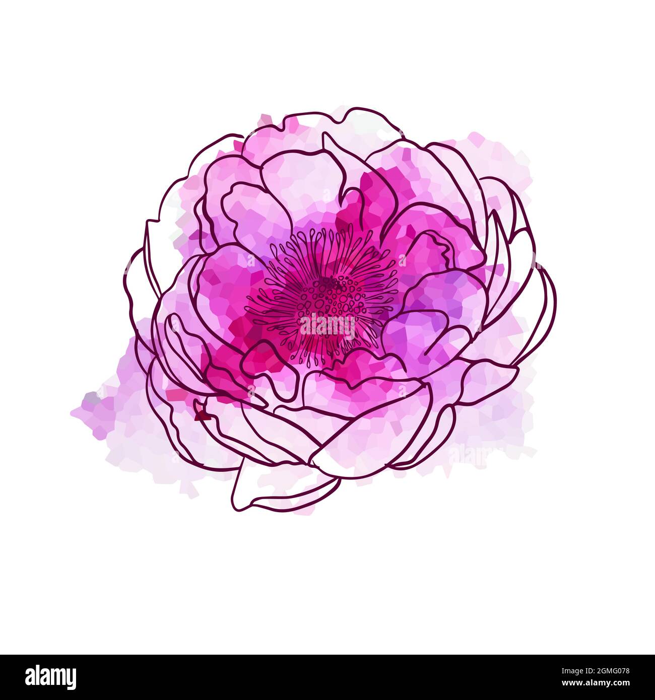 Beautiful pink watercolor flower. Vector illustration Stock Vector ...
