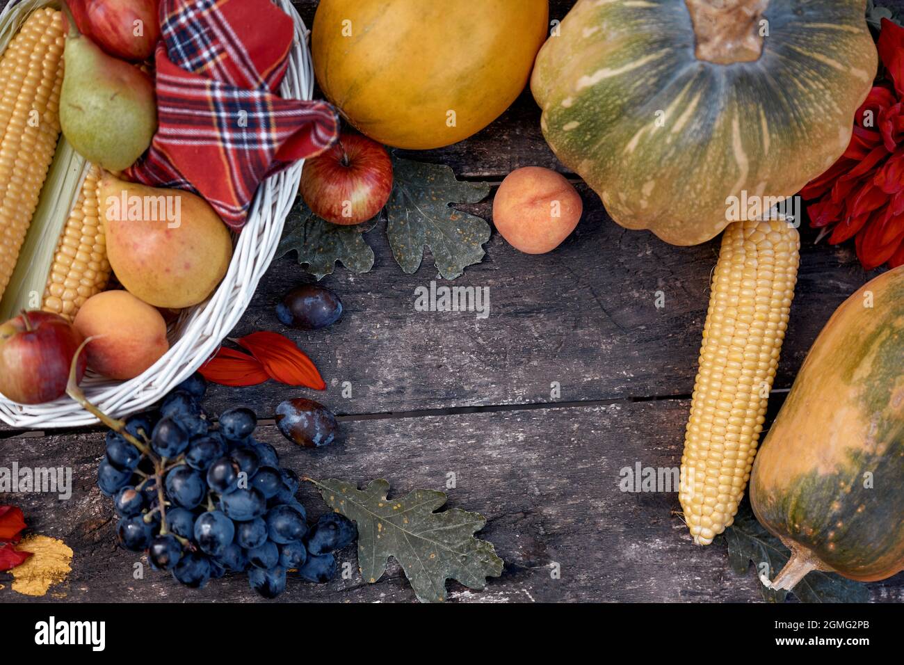Autumn aesthetic flat lay: yellow fruits, vegetables: pumpkin, pears ...