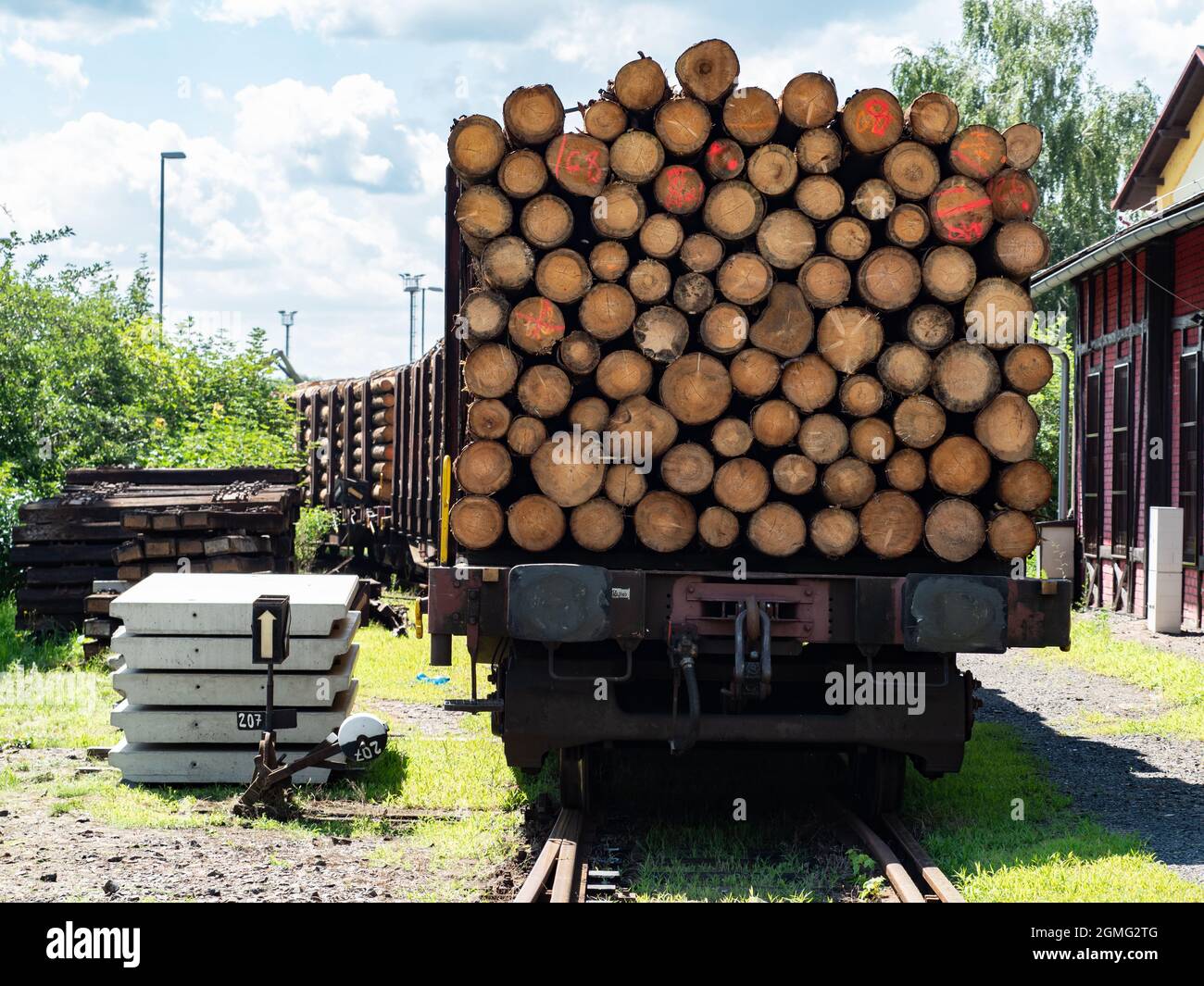 Timber transport by trail by railways. The train car stands in a depot ...