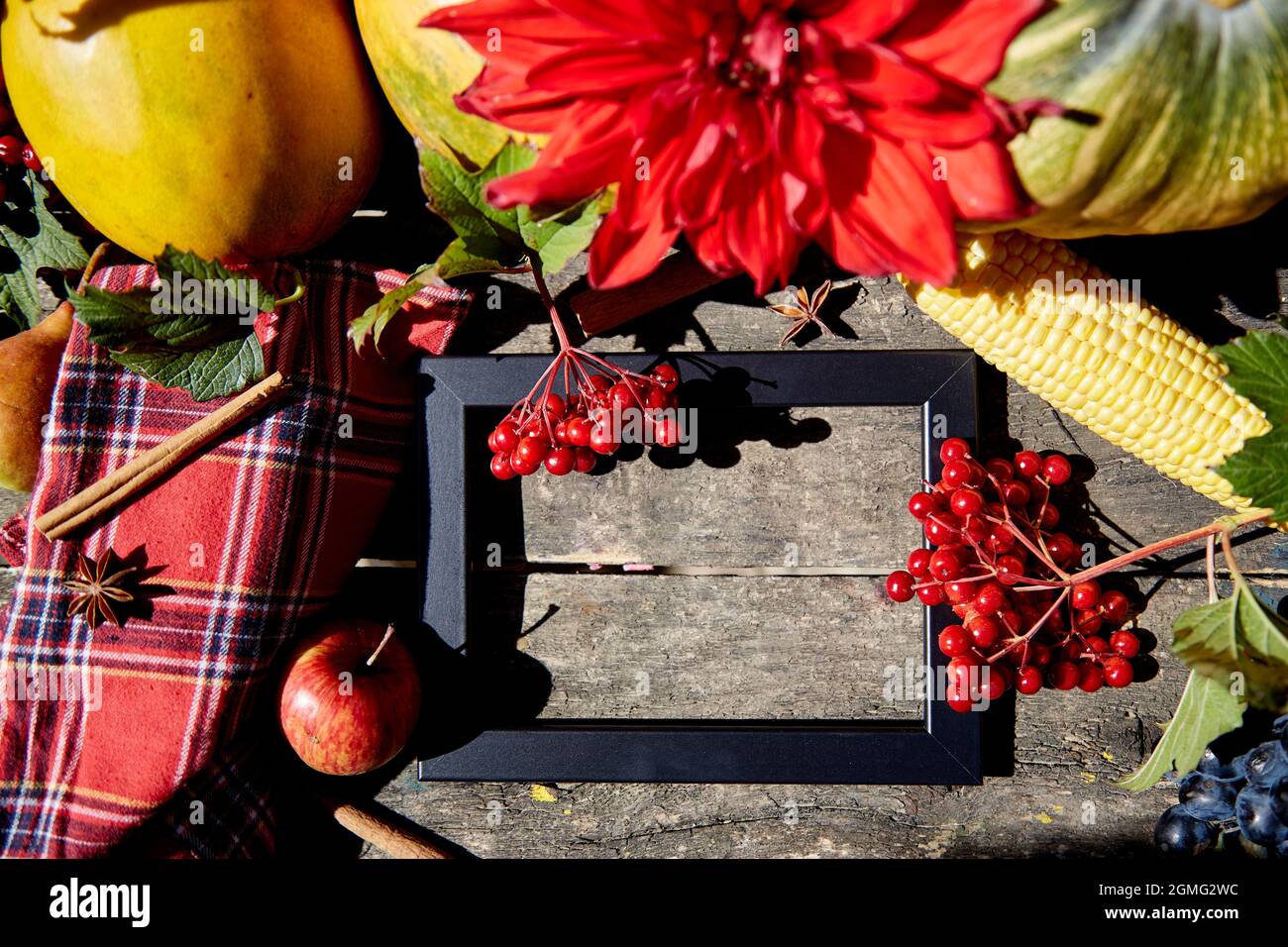 Proper corn packet hi-res stock photography and images - Alamy