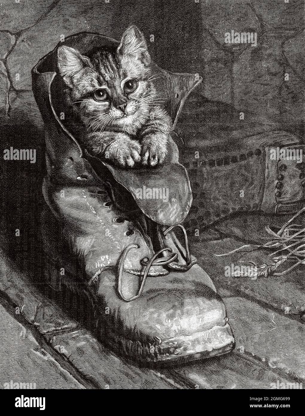 A cat inside an old boot, painting by Frank Paton (1855-1909) was an ...