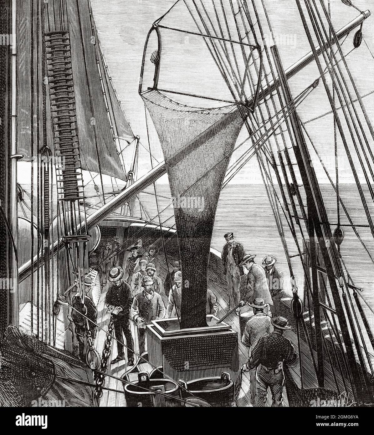 Fish caught with nets inventoried on the Talisman ship deck. Scientific ...