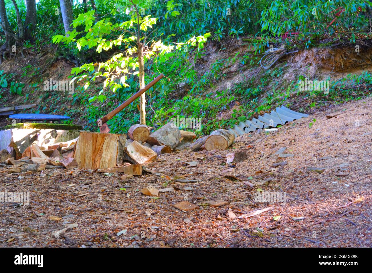 Axe stroked into log hi-res stock photography and images - Alamy