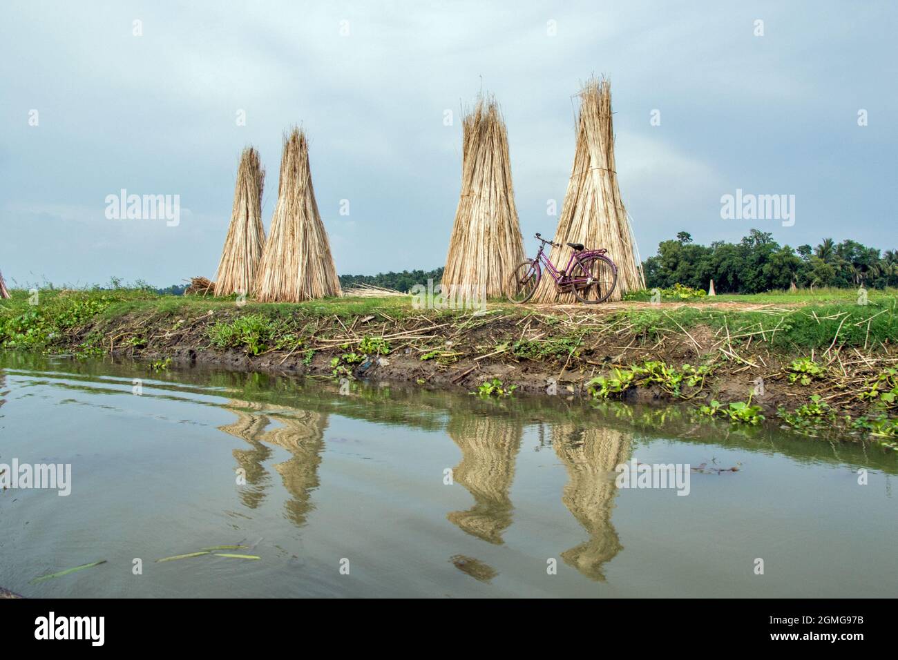 Asian jute hi-res stock photography and images - Alamy