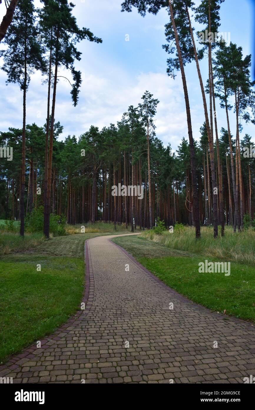 Curved park pathway hi-res stock photography and images - Alamy