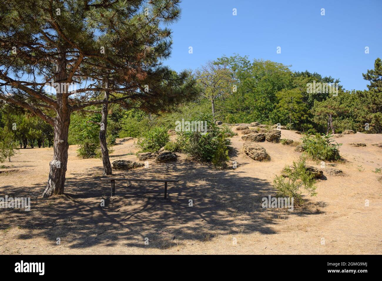 Sit under the shade tree hi-res stock photography and images - Alamy