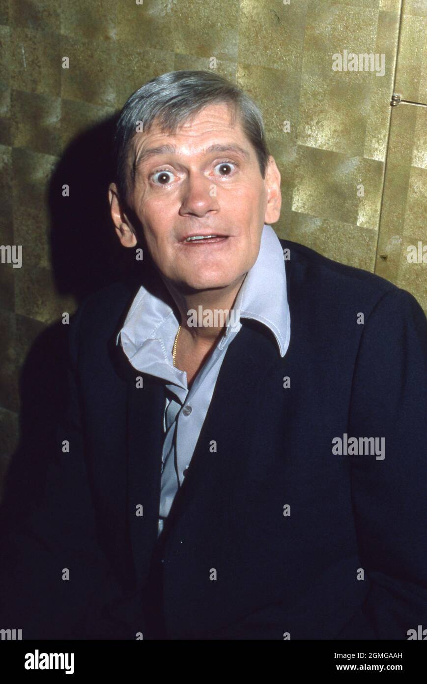 Dick York Circa 1980's Credit: Ralph Dominguez/MediaPunch Stock Photo ...