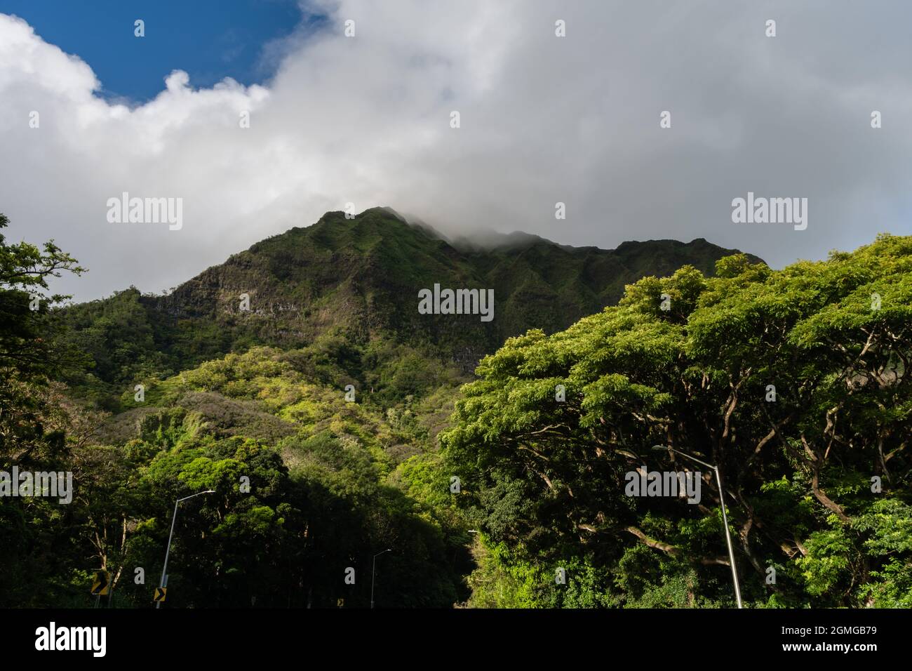 Scenic Pali Highway vista in early morning, Oahu, Hawaii Stock Photo ...