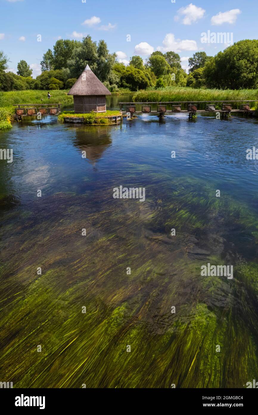 England, Hampshire, Test Valley, Stockbridge, Longstock, Leckford ...