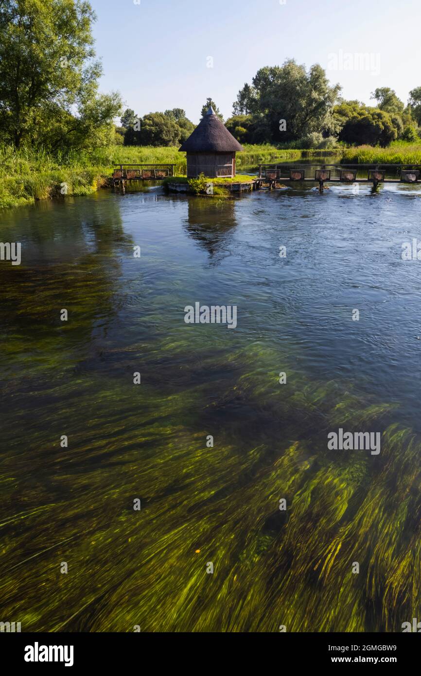 England, Hampshire, Test Valley, Stockbridge, Longstock, Leckford ...