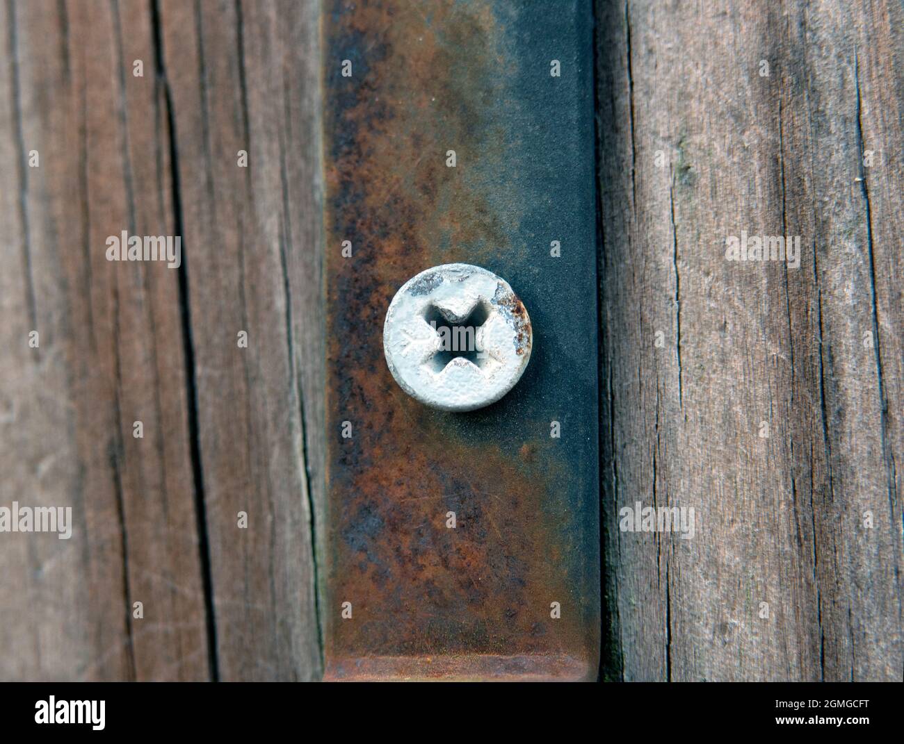 Macro rusted screw head on weathered bar on wood plank Stock Photo - Alamy