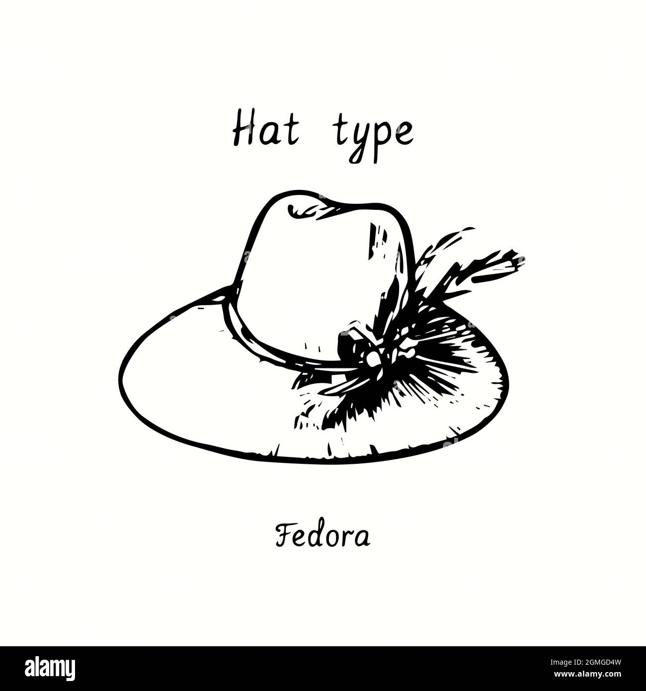 Hat type, Fedora. Ink black and white drawing outline illustration ...