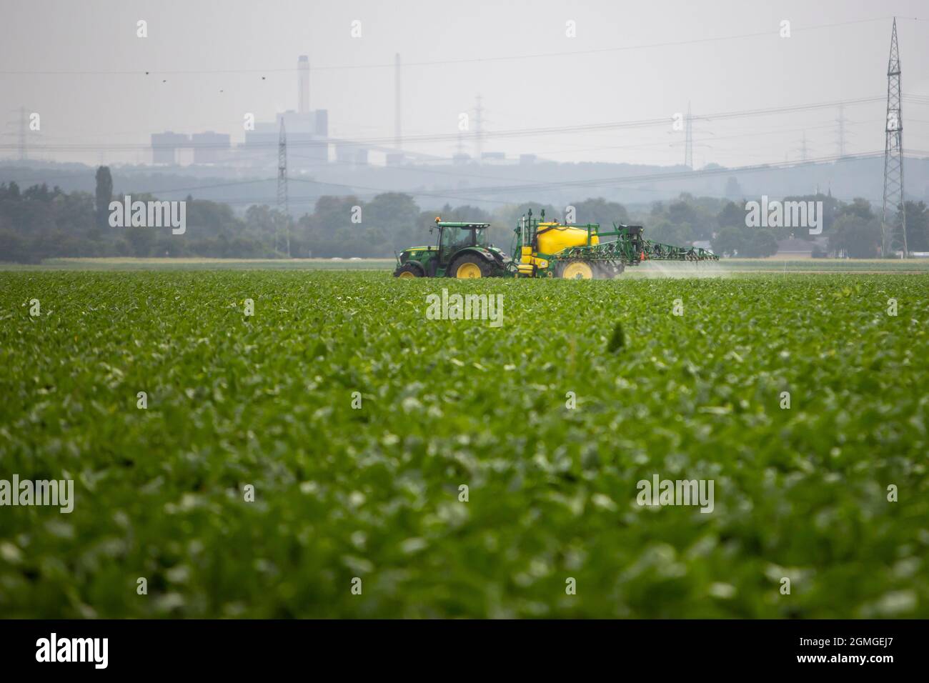 Huerth, NRW, Germany 09 01 2021, tractor in a field is spraying the ...