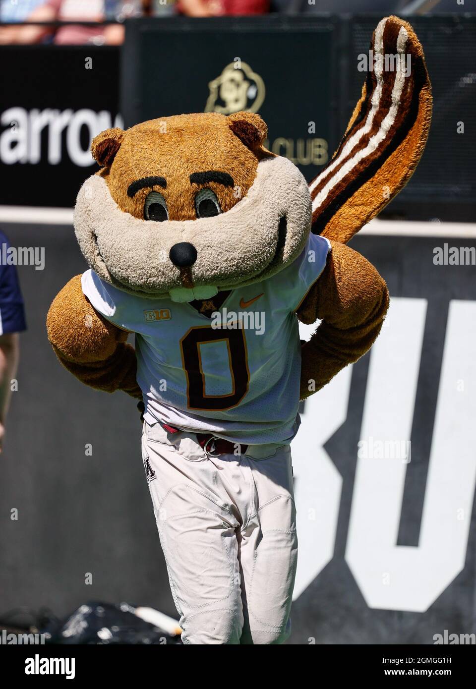 Gopher football hi-res stock photography and images - Alamy