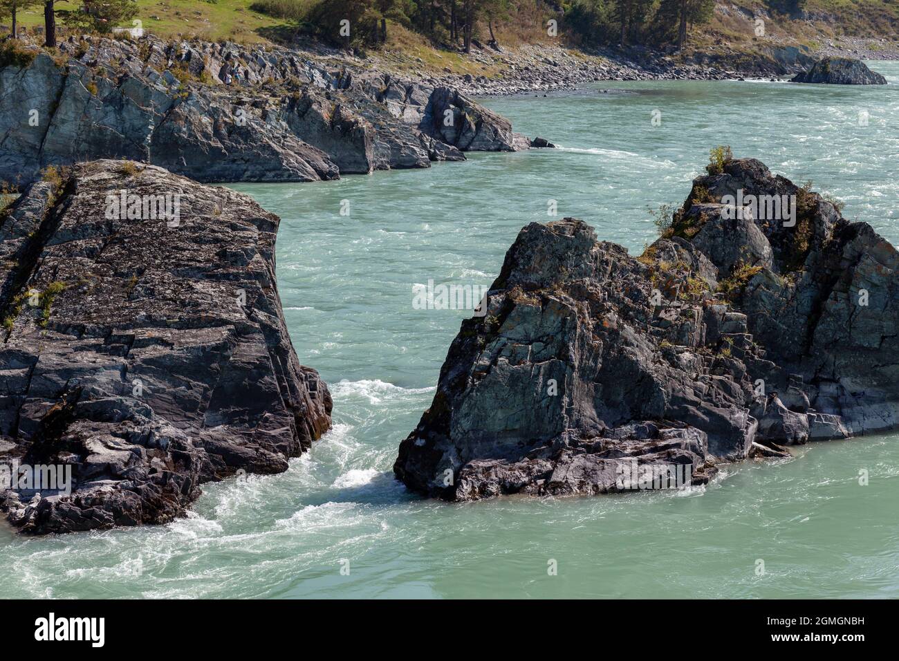 A fast-flowing wide and full-flowing mountain river. Large rocks stick ...