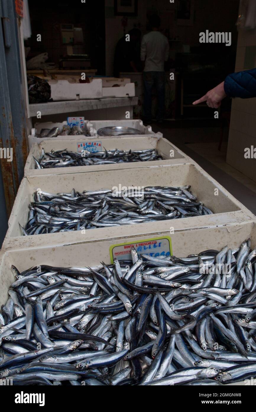 Crates of sardines line the fish market wall in Ravello, Italy on the ...