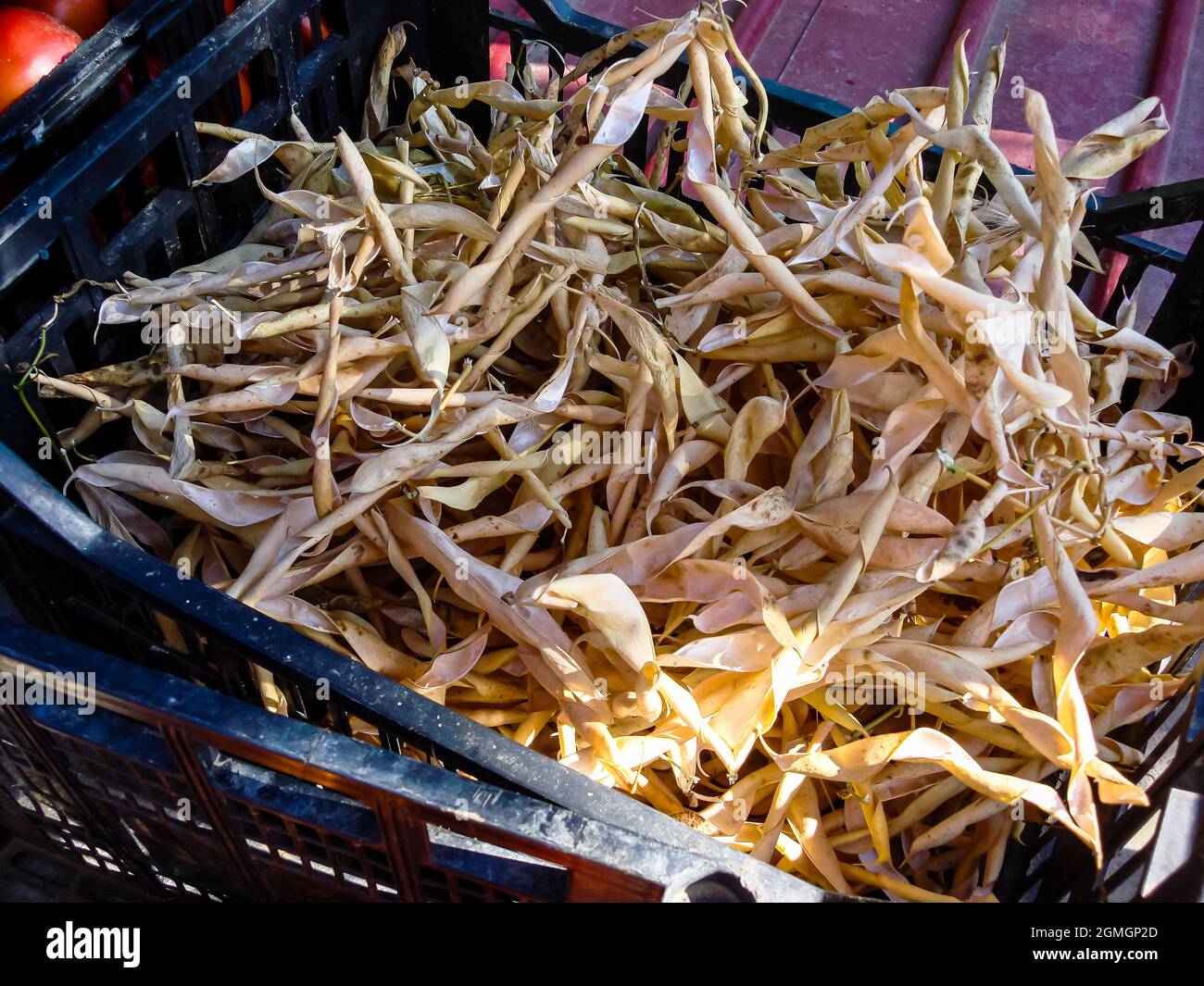 Bean husks hi-res stock photography and images - Alamy