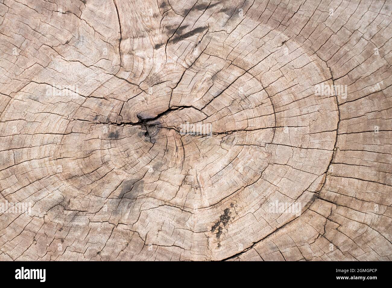 Rough cracked wood plate texture background Stock Photo - Alamy