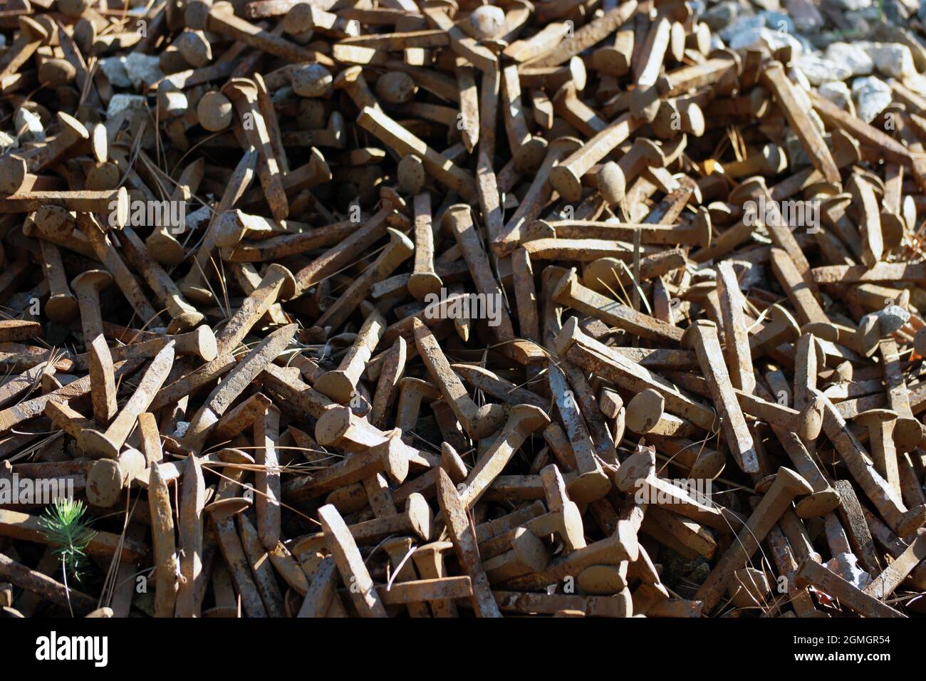 Stack of rusty railroad spikes Stock Photo - Alamy