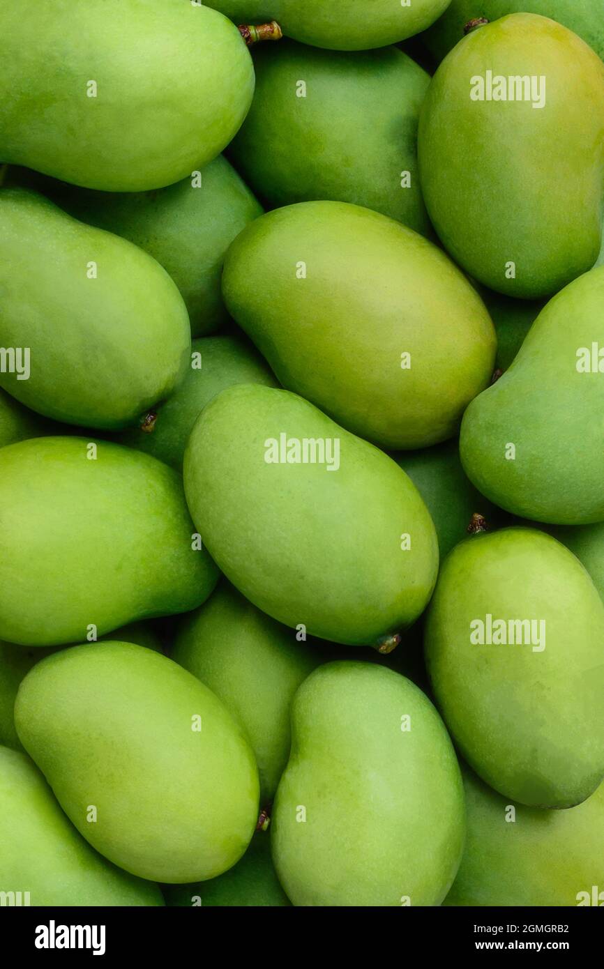 closeup view of mangoes, taken from above Stock Photo - Alamy