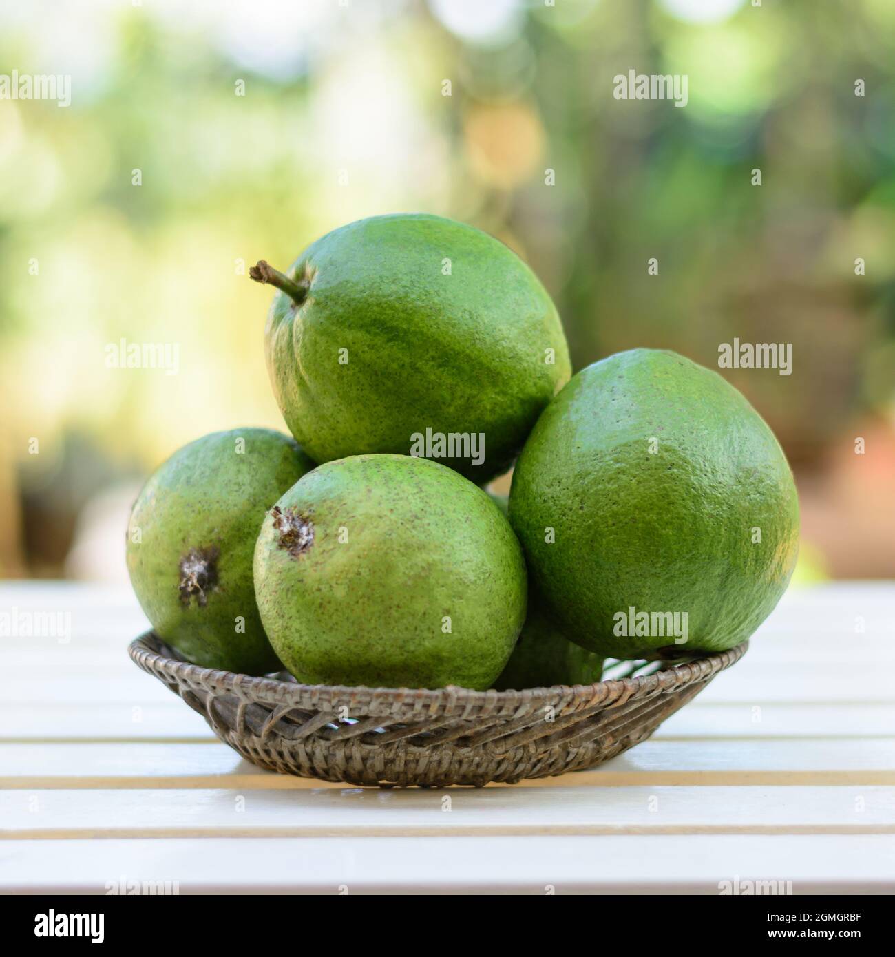 Ripe Guava Fruit Guava Tree Fan Retief | Psidium Guajava