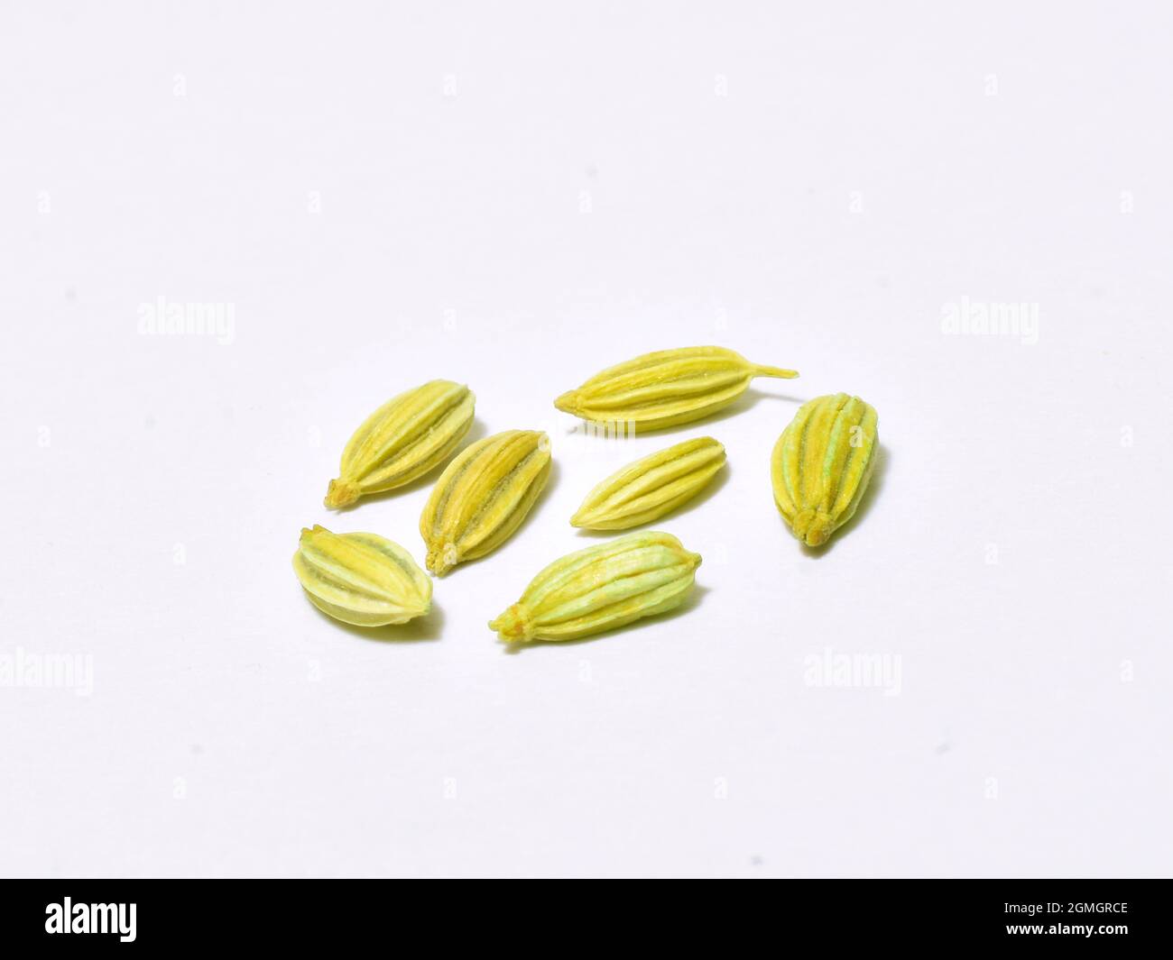 Closeup of Fennel Seeds isolated on white background Stock Photo - Alamy