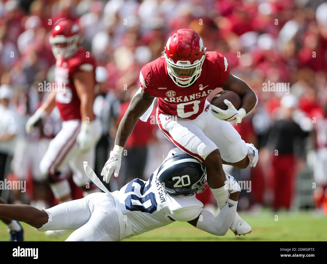 Aj robertson hi-res stock photography and images - Alamy