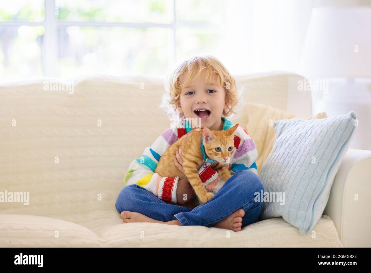 Child playing with cat. Kid holding kitten. Little boy snuggling cute ...