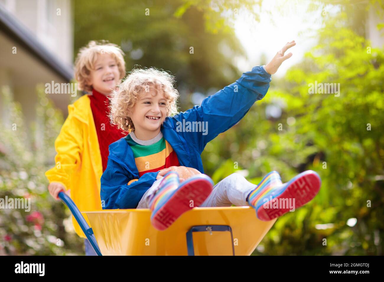 Kids in wheelbarrow on pumpkin patch. Autumn outdoor fun for children ...