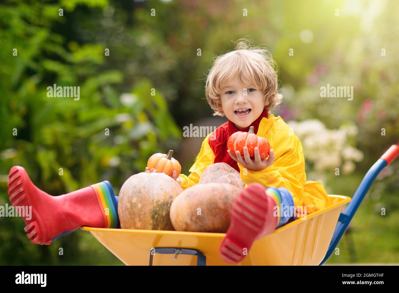 Kids in wheelbarrow on pumpkin patch. Autumn outdoor fun for children ...