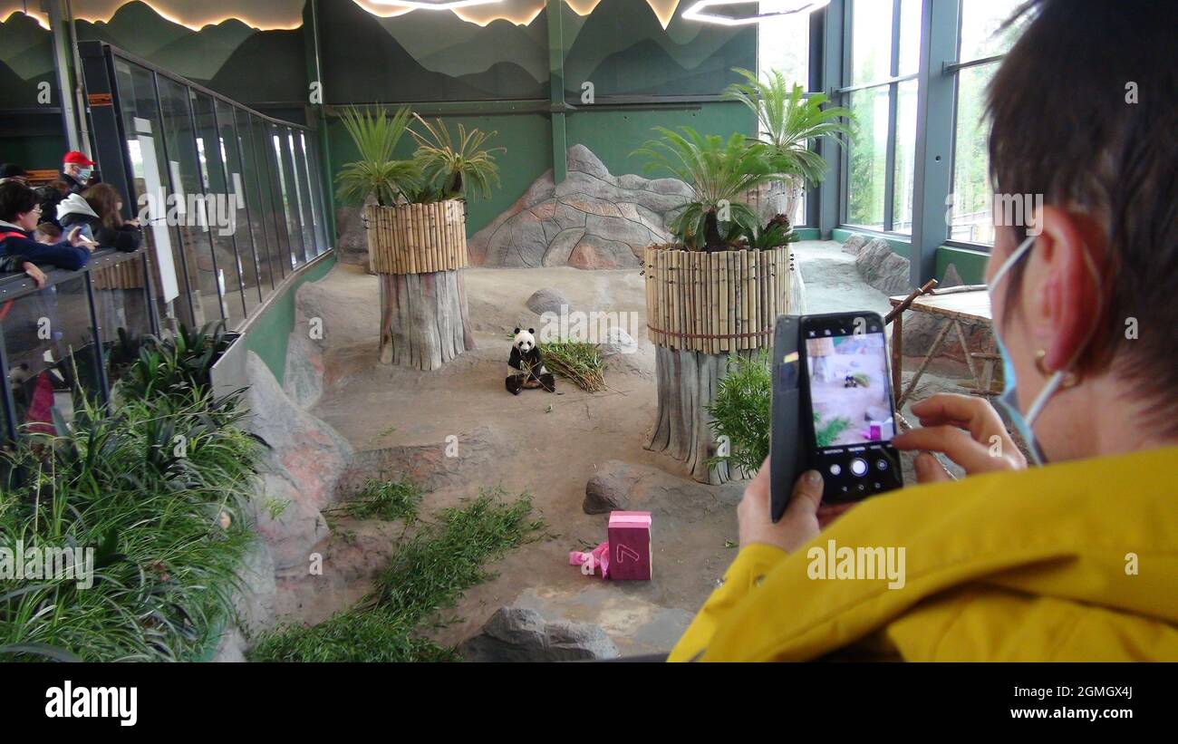Helsinki, Finland. 18th Sep, 2021. Visitors take photos of giant panda ...