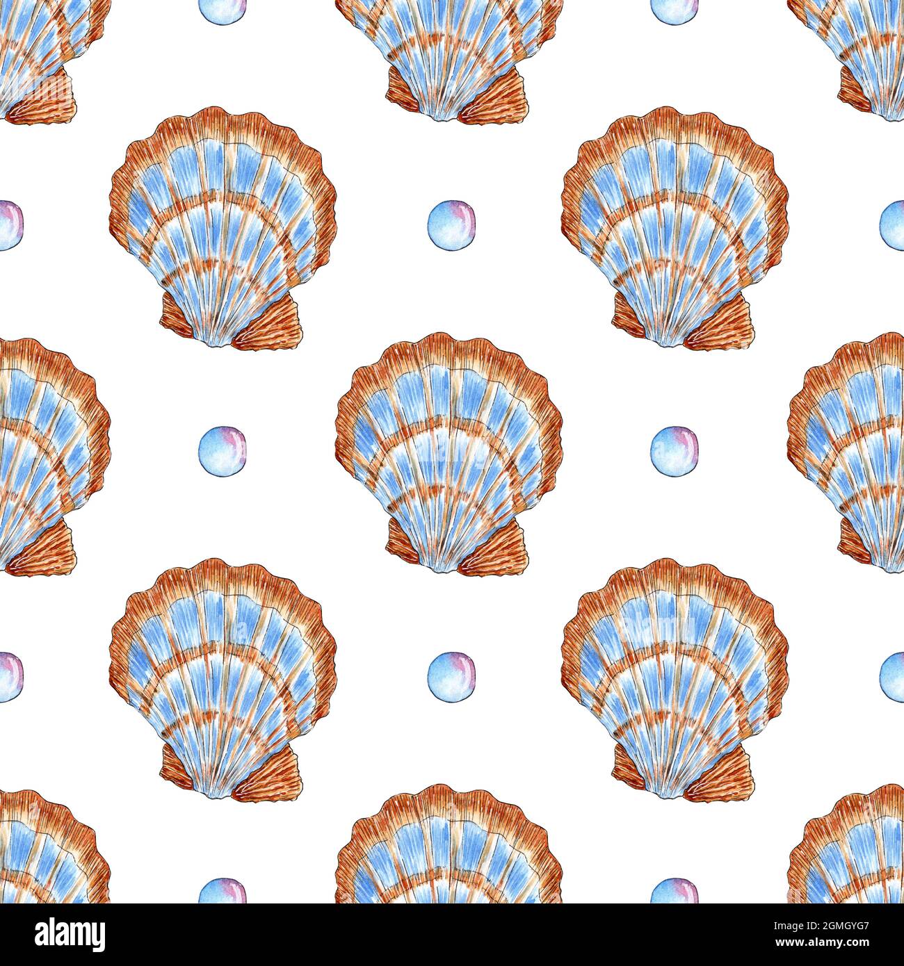 Watercolor pattern illustration of large beige blue seashells with ...