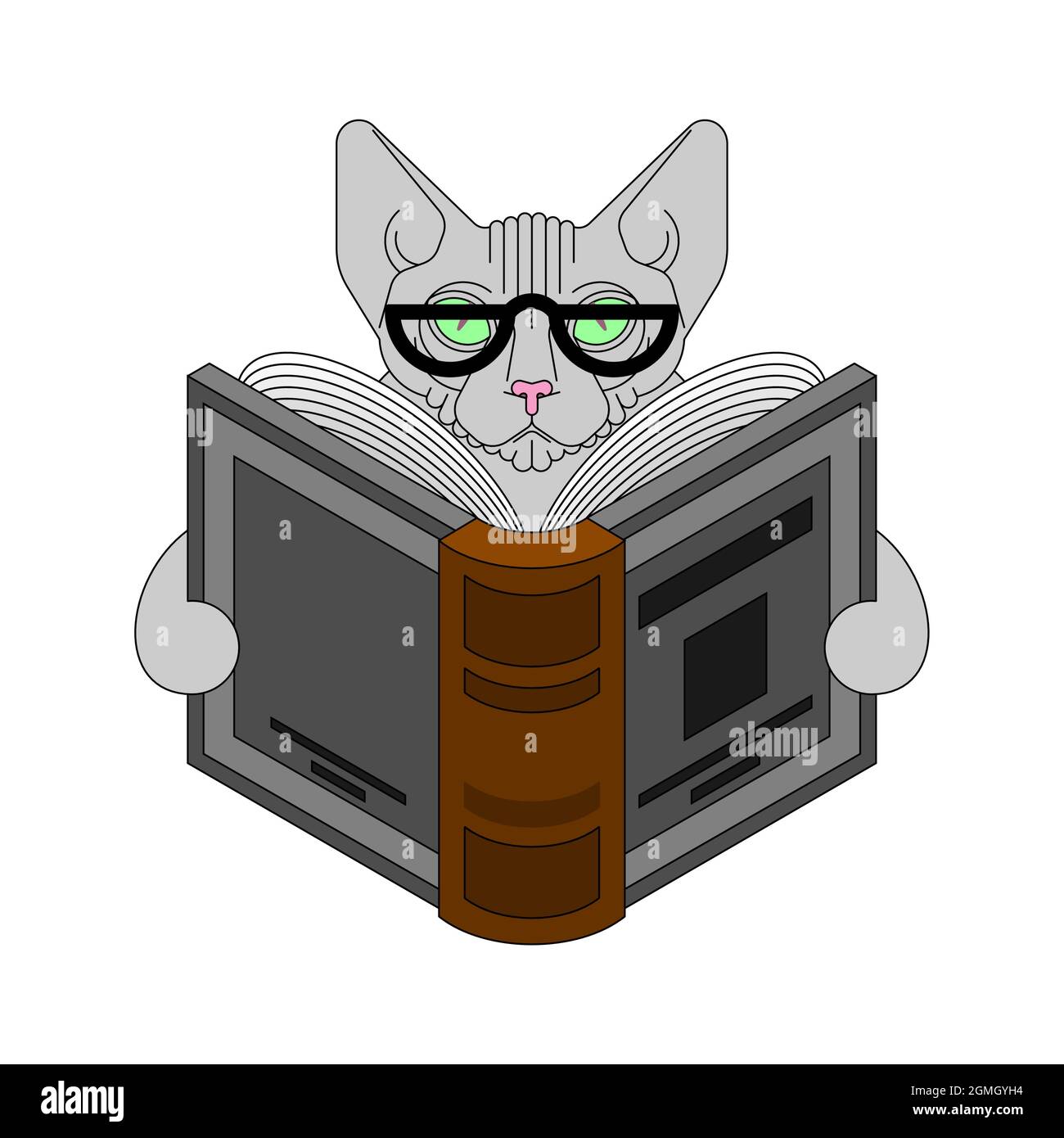 Cute smart kitten isolated book hi-res stock photography and images - Alamy