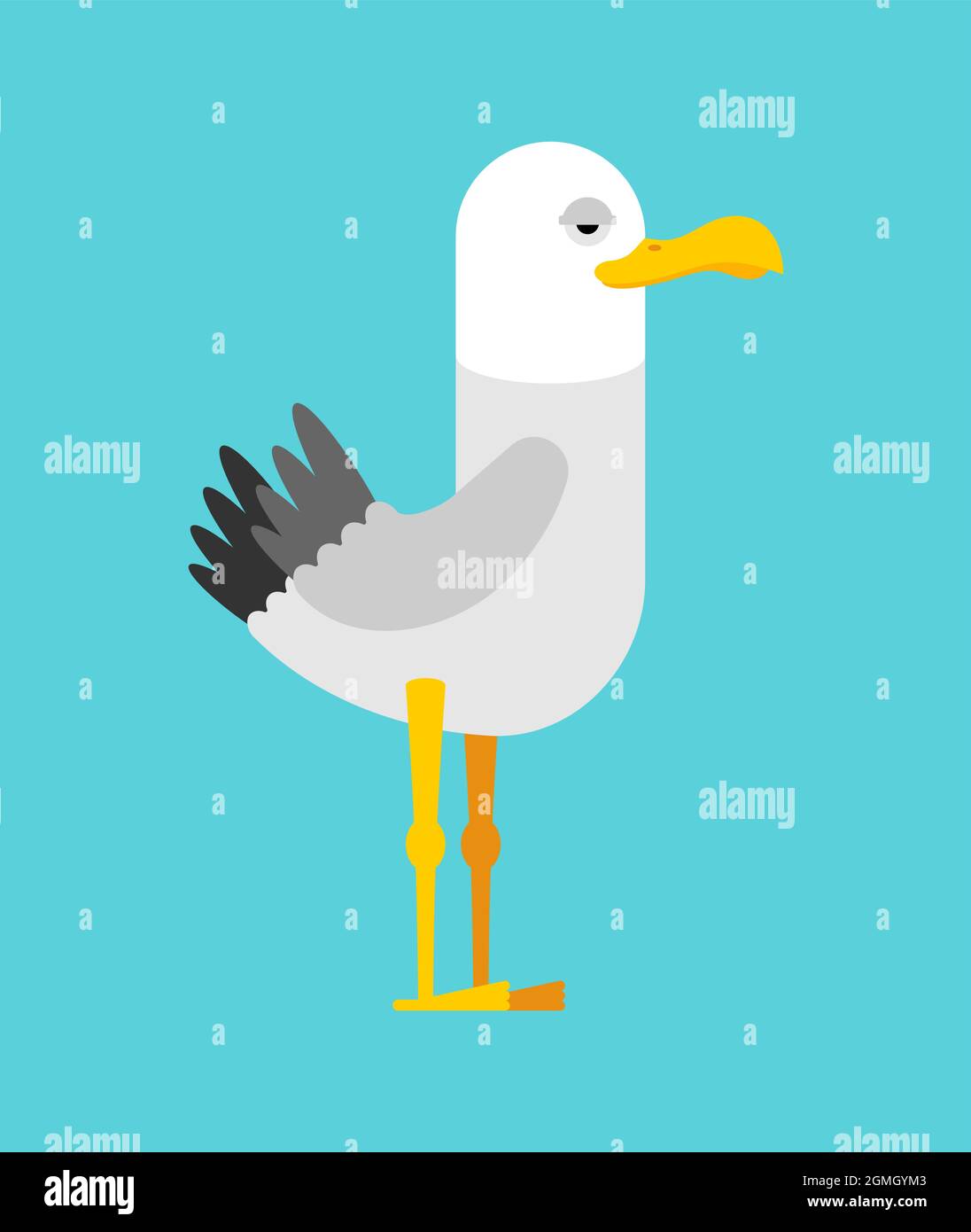 Gull cartoon isolated. seagull Sea bird vector illustration Stock ...