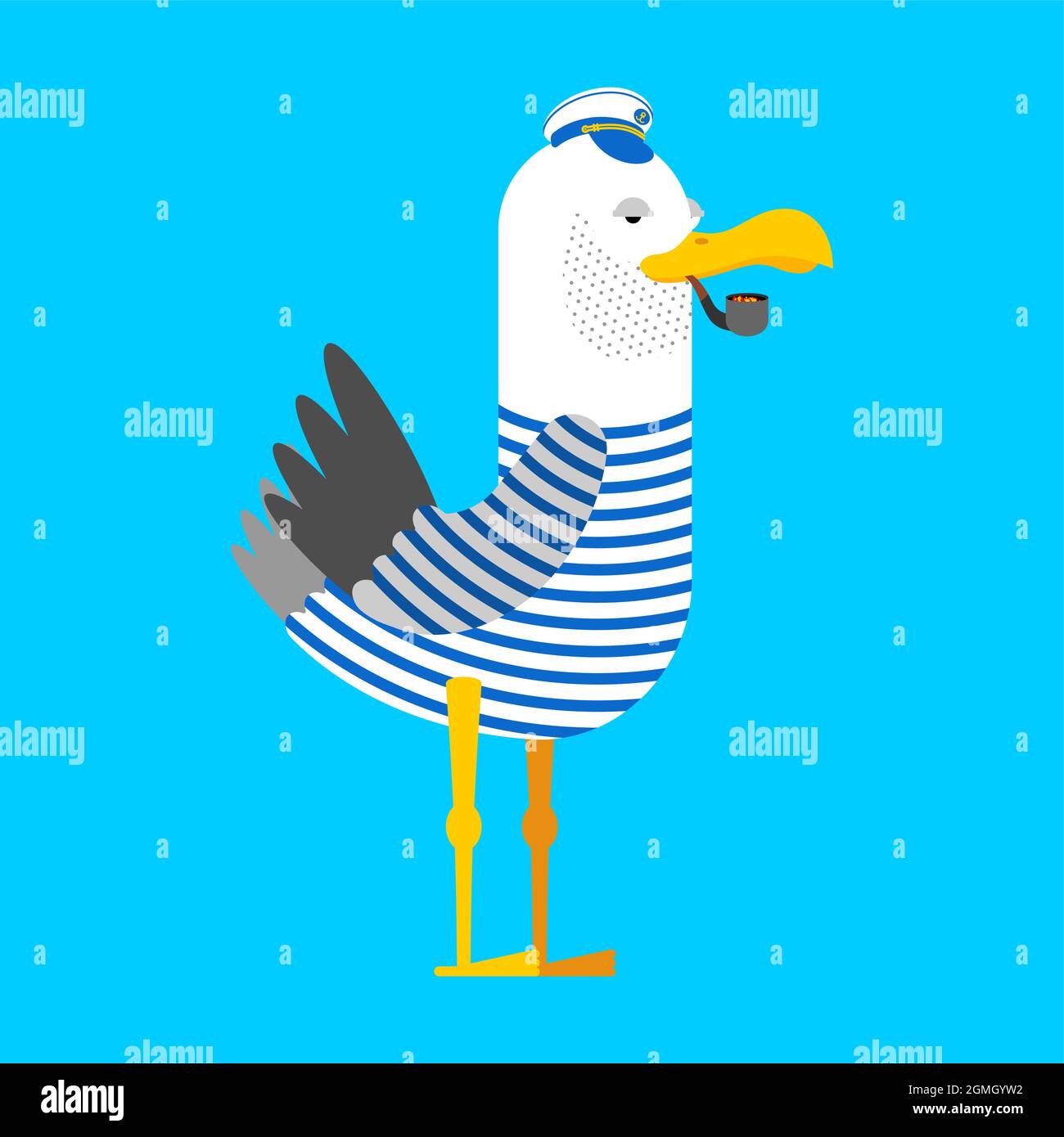 Seagull pirate isolated. Gull in pirate clothes. vector illustration ...