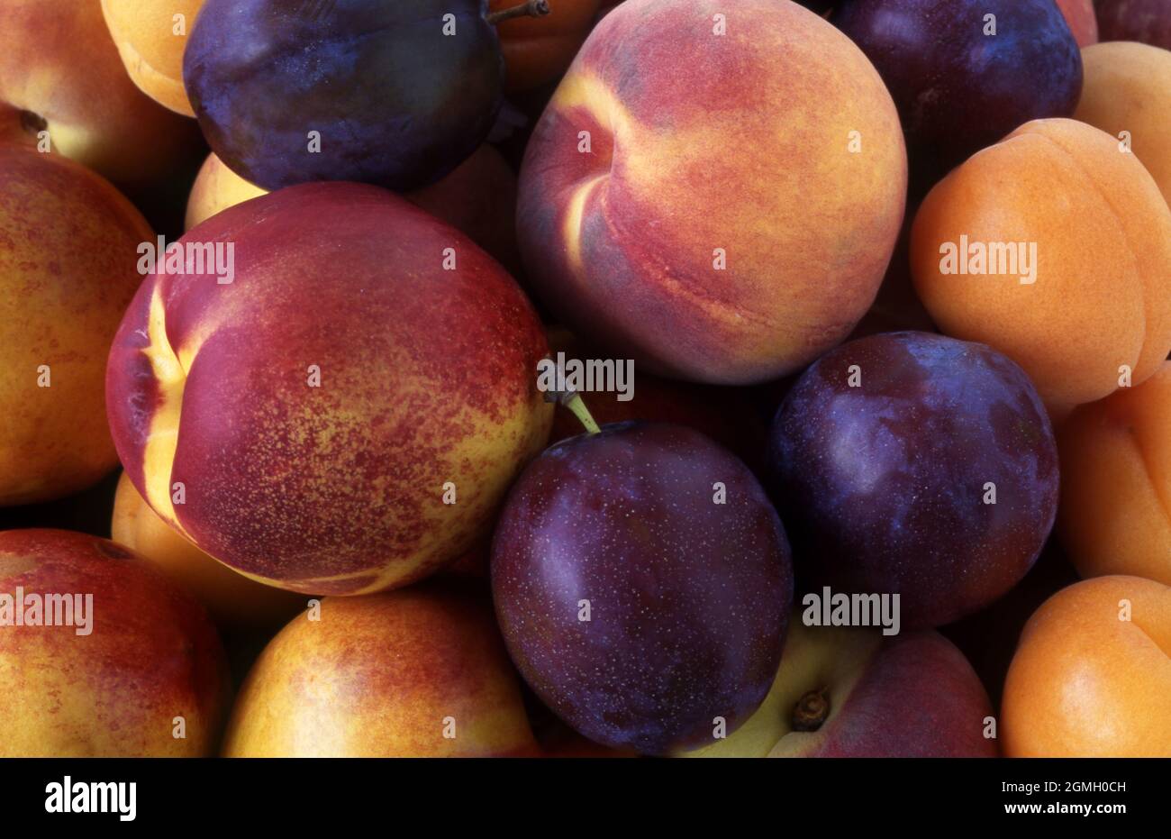 Stone fruits hi-res stock photography and images - Alamy