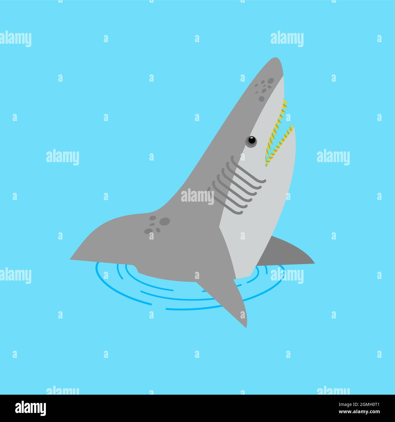Killer great white shark Stock Vector Images - Alamy