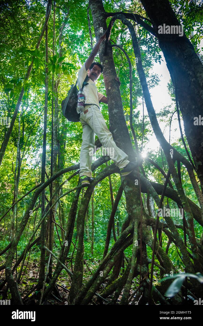 Tintal hi-res stock photography and images - Alamy