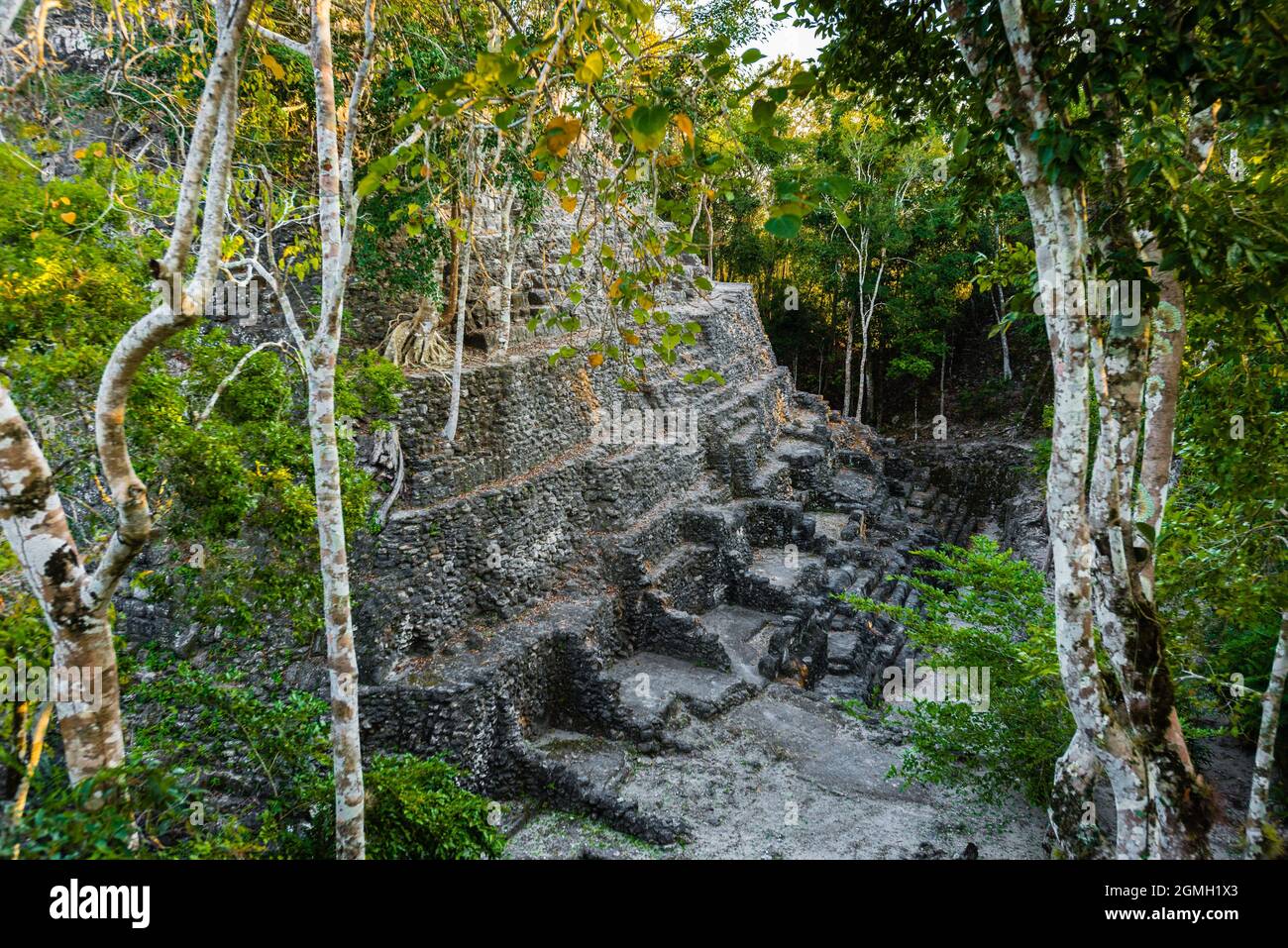 Danta pyramid guatemala hi-res stock photography and images - Alamy