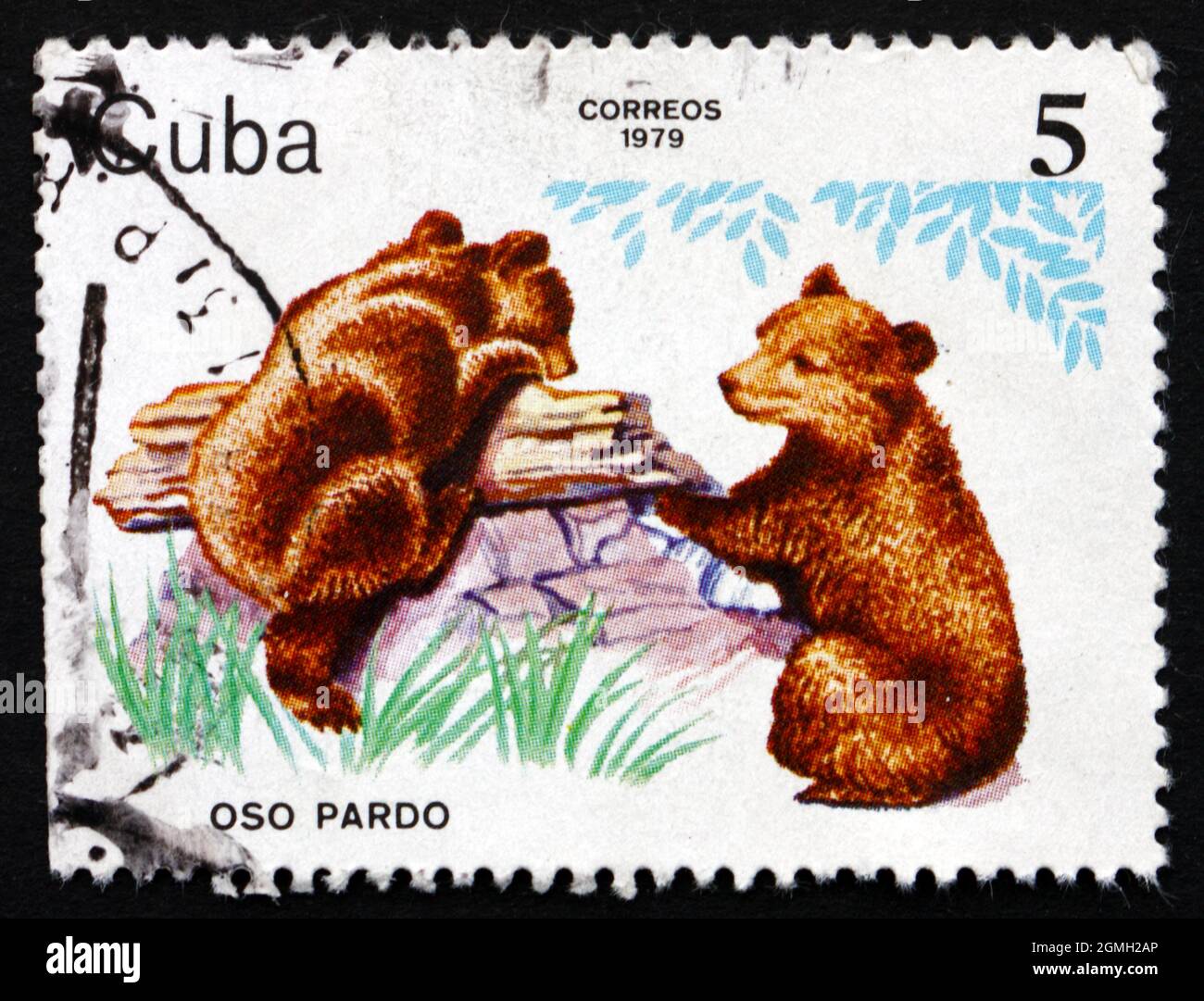CUBA - CIRCA 1979: a stamp printed in the Cuba shows Bear Cubs, ZOO ...