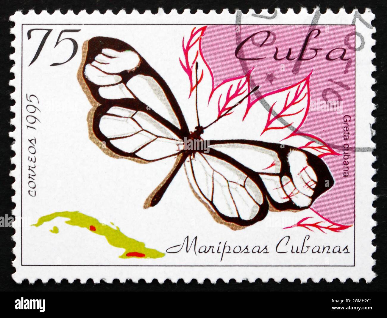Fauna cubana hi-res stock photography and images - Alamy